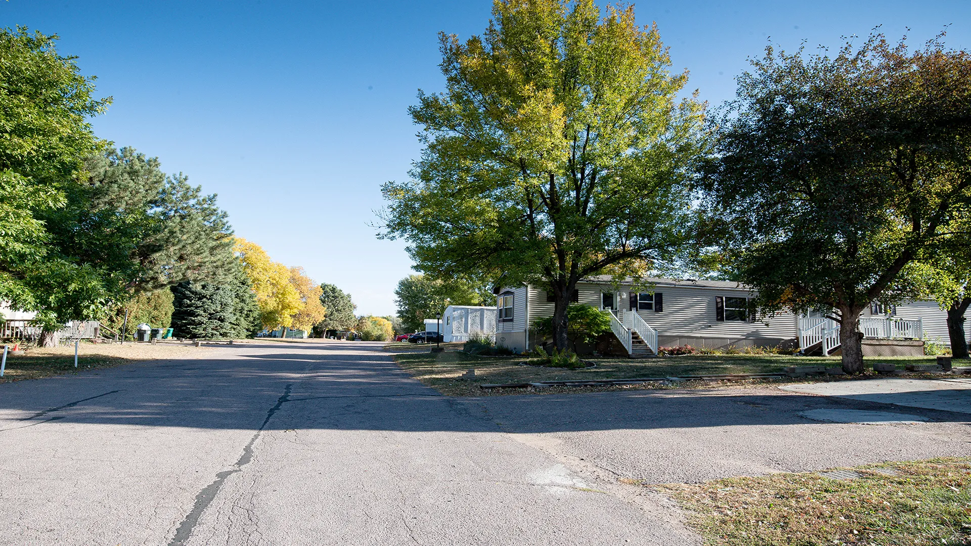 Pine Meadows | Harmony International